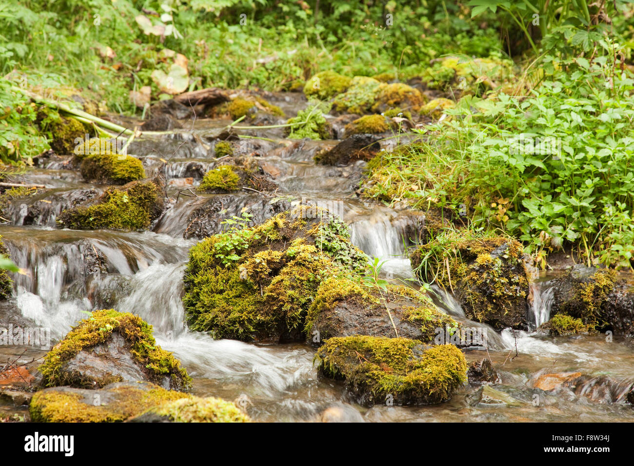 Mountains brook with moss stones Stock Photo - Alamy