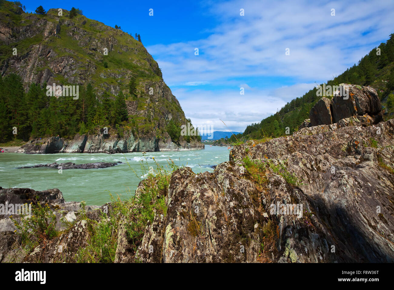 Mountains river with rocky riverside. Katun, Altai, Siberia Stock Photo ...