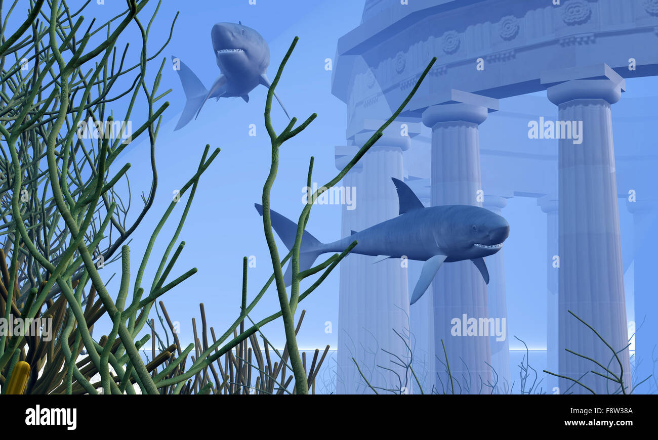 Mako shark fish hi-res stock photography and images - Alamy