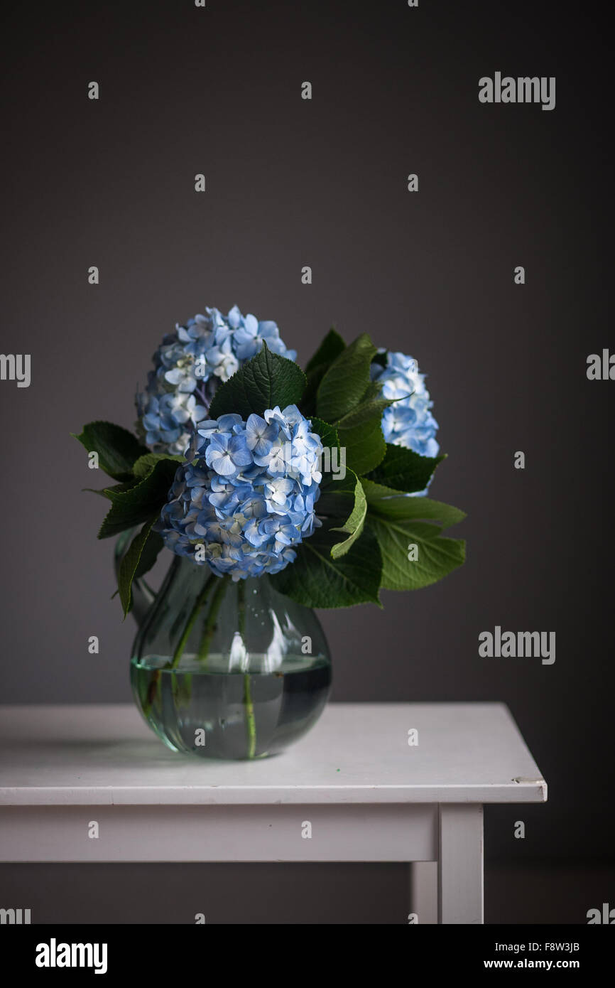 Blue hydrangea still life hi-res stock photography and images - Alamy