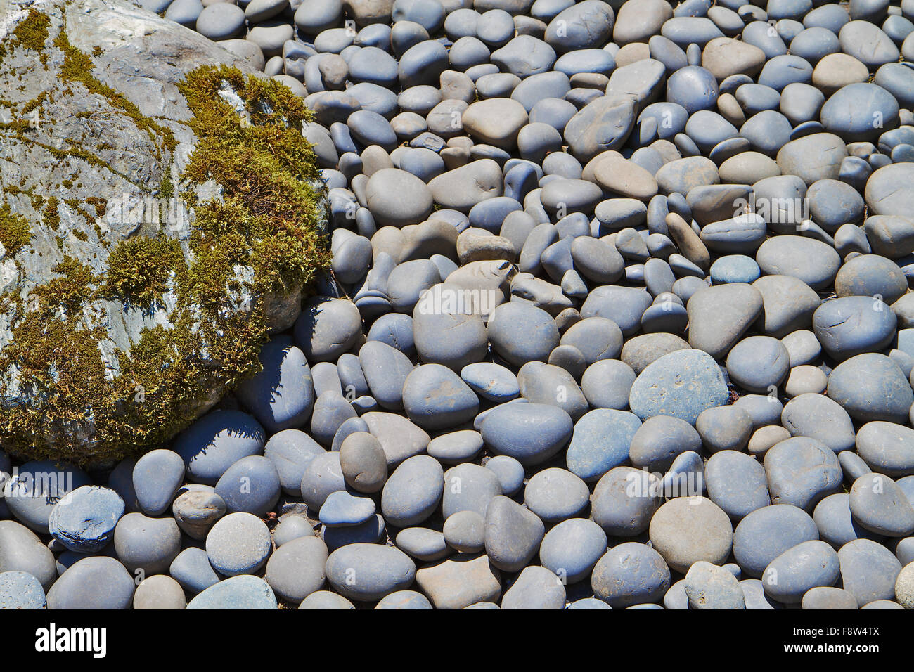 River Rocks and boulder Stock Photo - Alamy