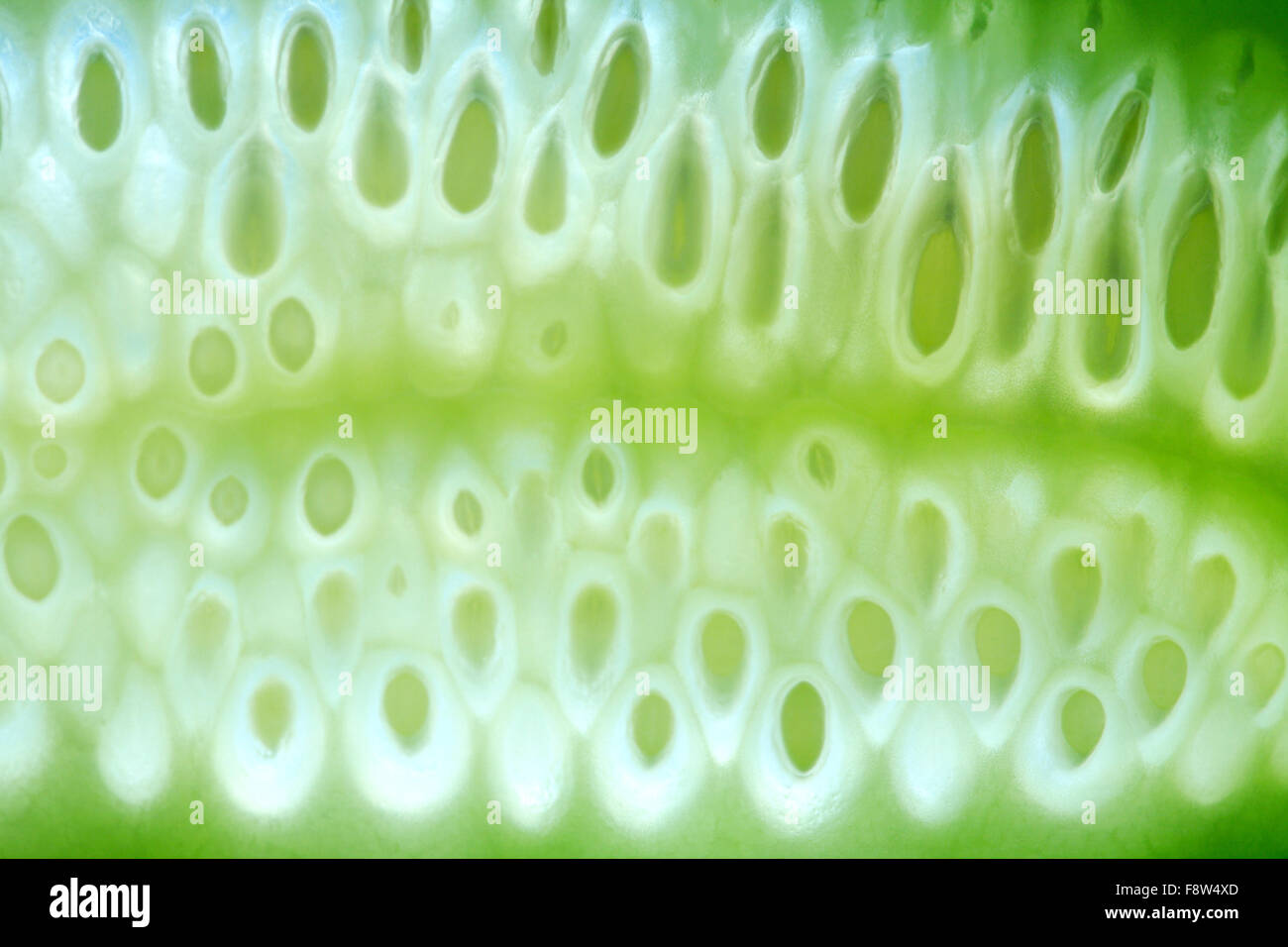 Cucumber vegetable sliced food hi-res stock photography and images - Alamy