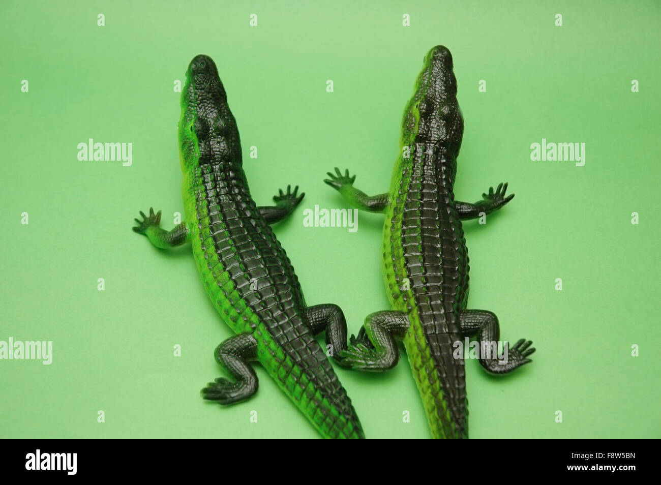 Two crocodiles on green background Stock Photo - Alamy