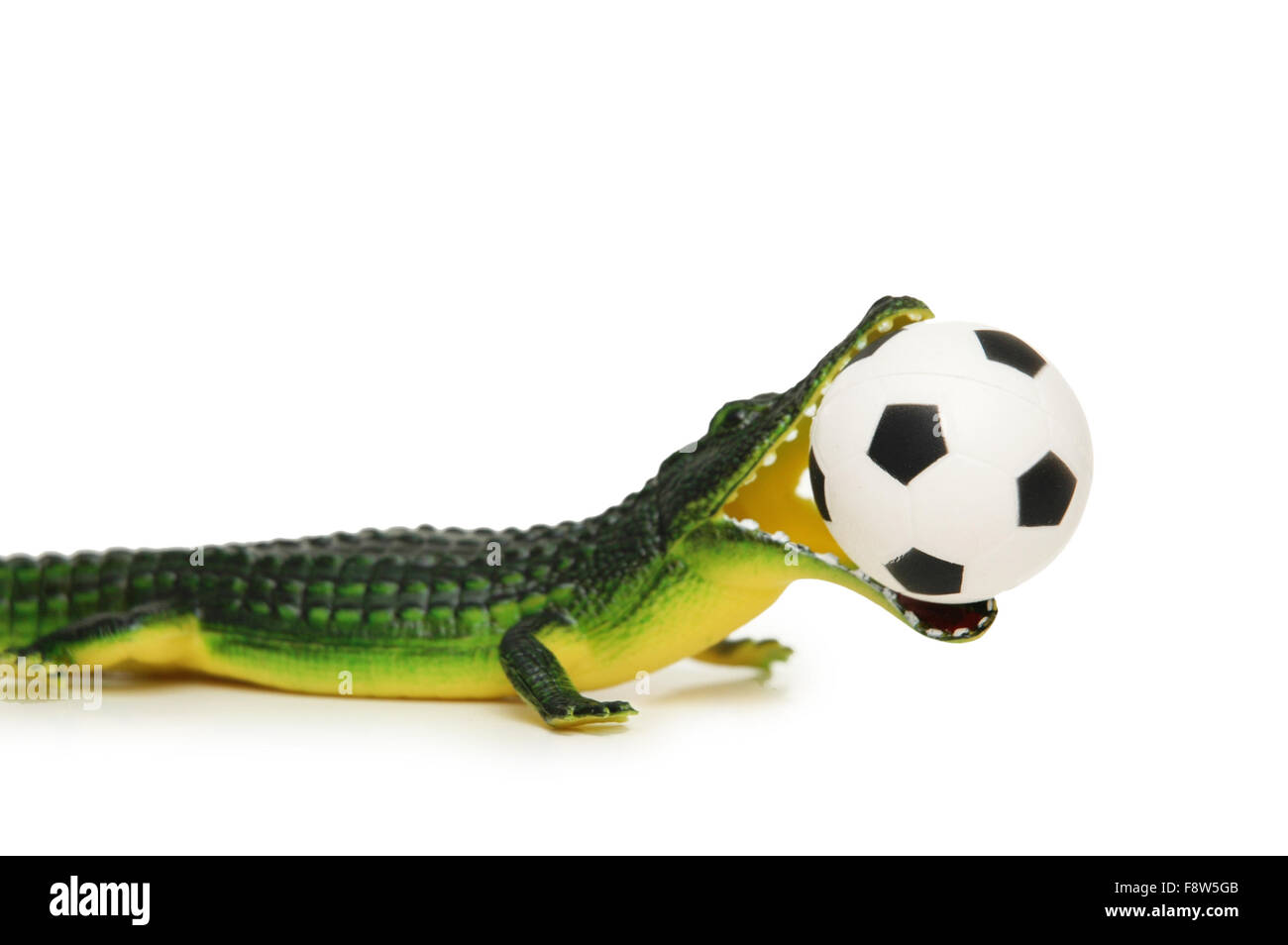 Crocodile with football isolated on white Stock Photo - Alamy
