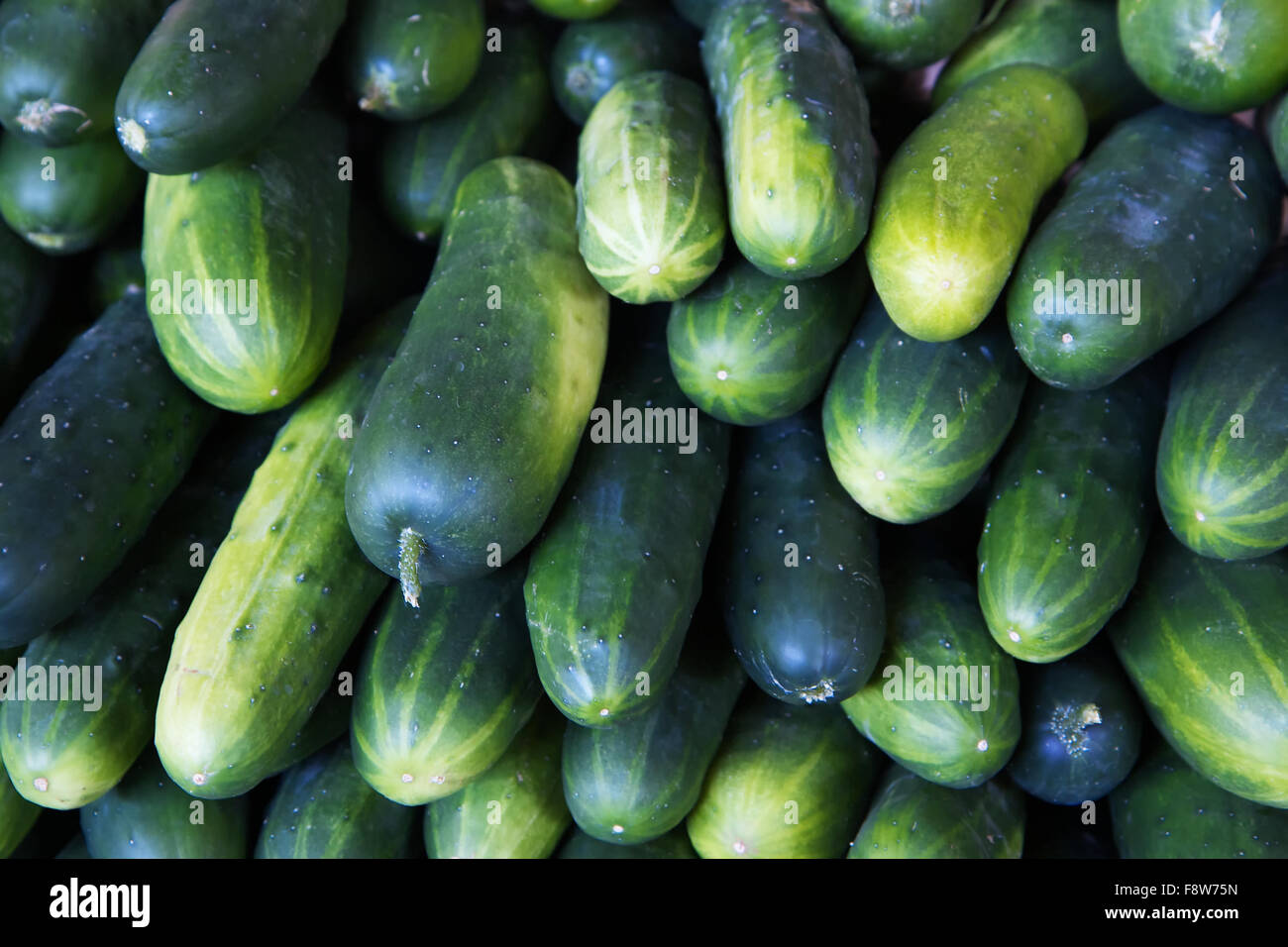 Pile of Cucumbers Stock Photo - Alamy
