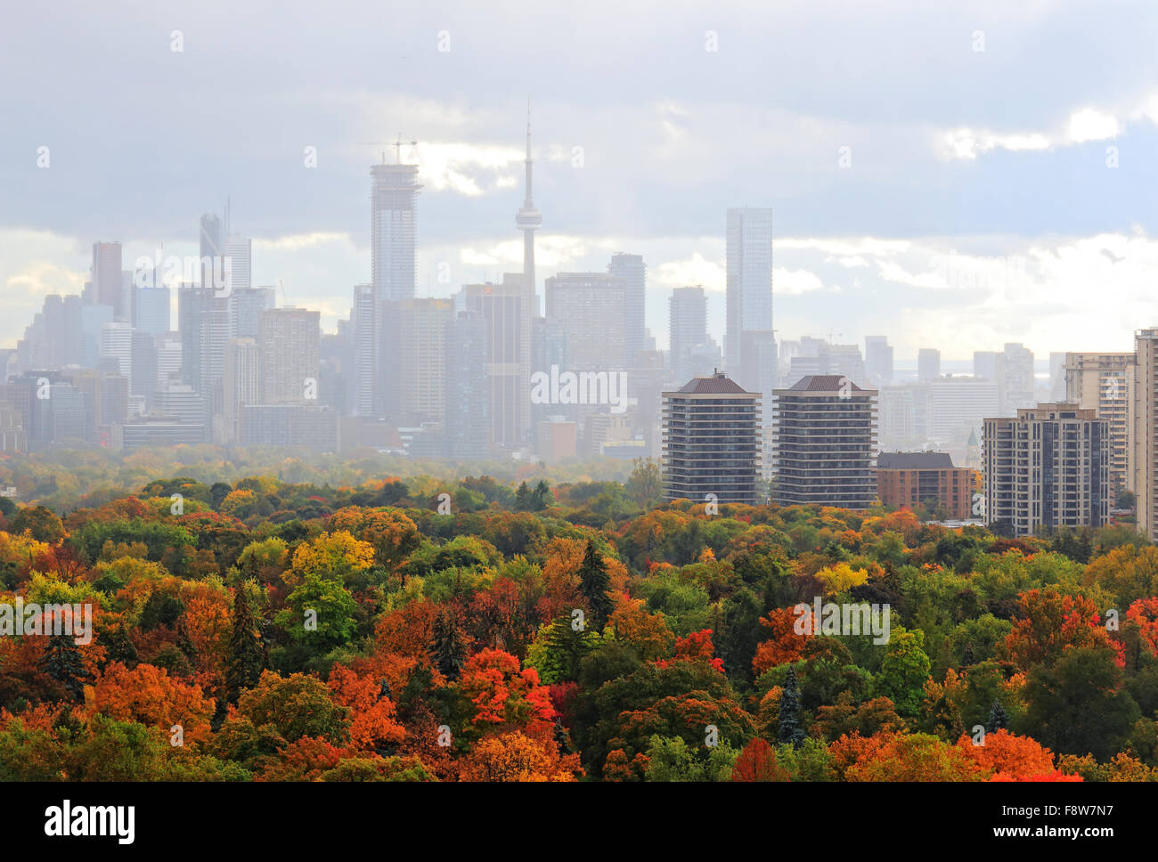 Toronto skyline with skyscrapers and fall colored trees in mist and ...