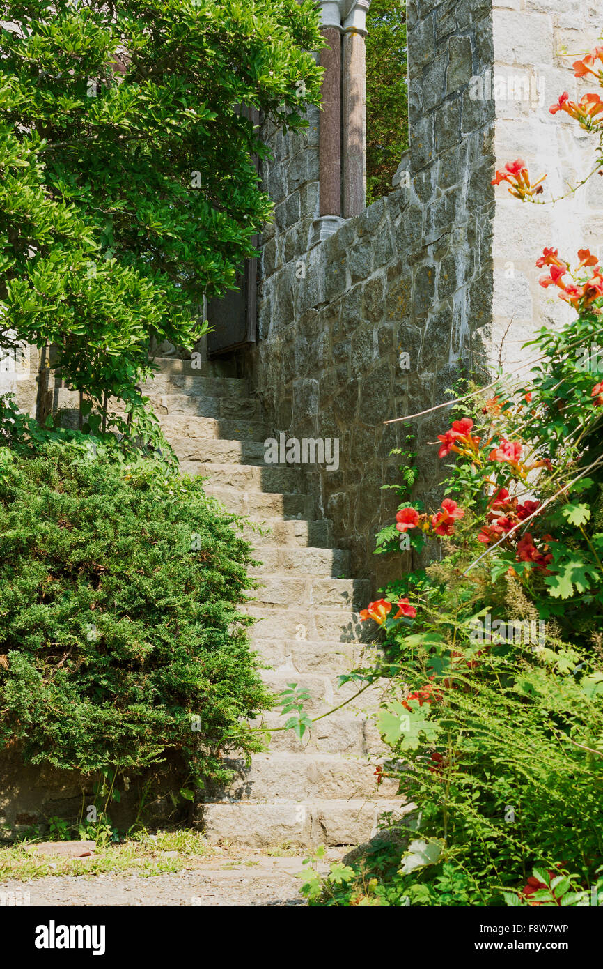 Ancient stairs and columns with flowering shrubs vertical Stock Photo ...