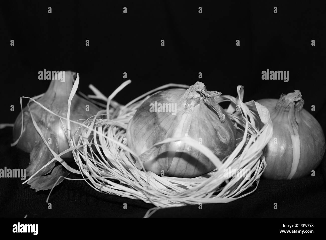 Onion bulbs Black and White Stock Photos & Images - Alamy