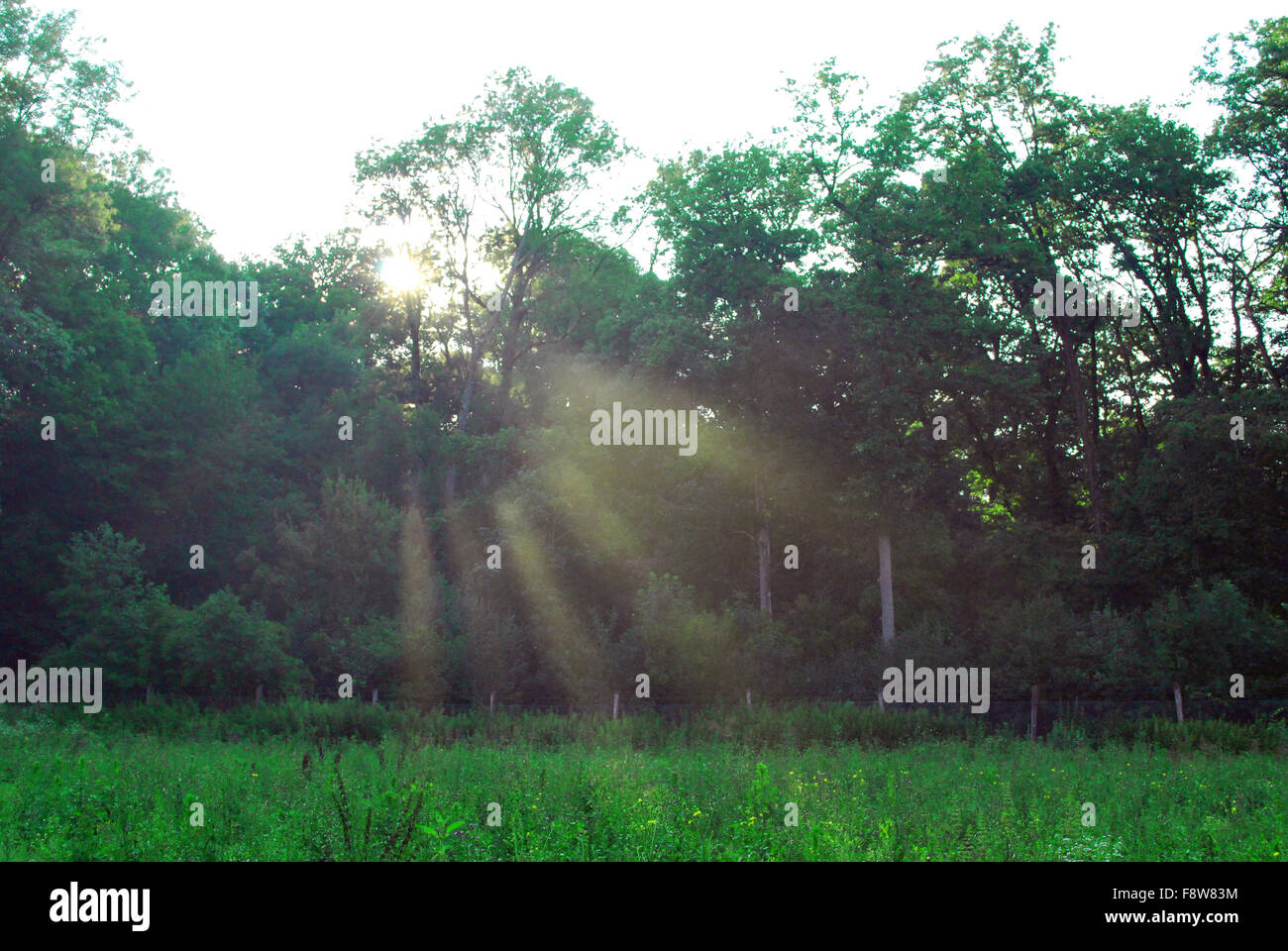 Beams Of Light Stock Photo - Alamy