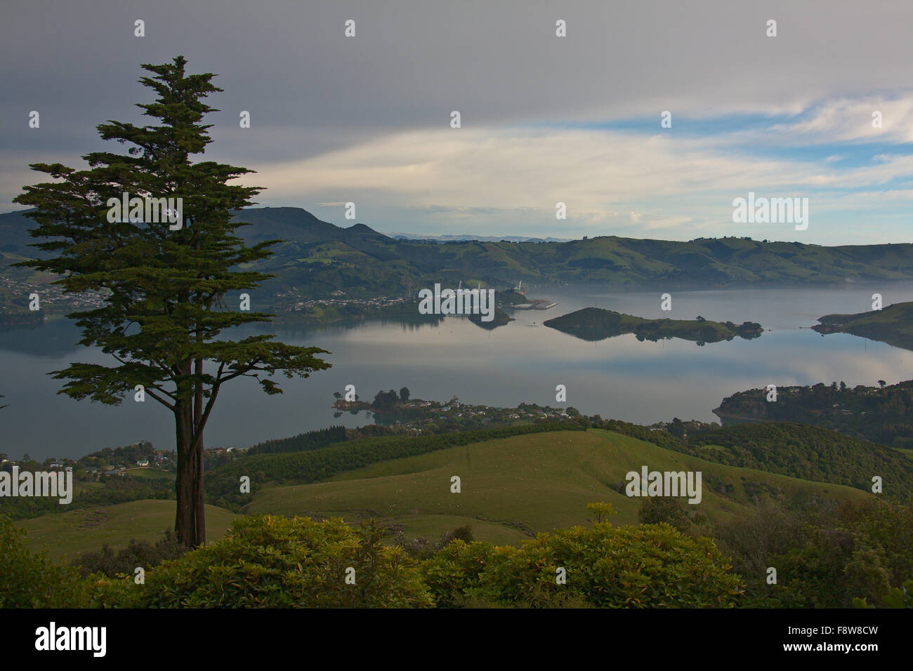 View from Larnach Castle New Zealand Stock Photo - Alamy