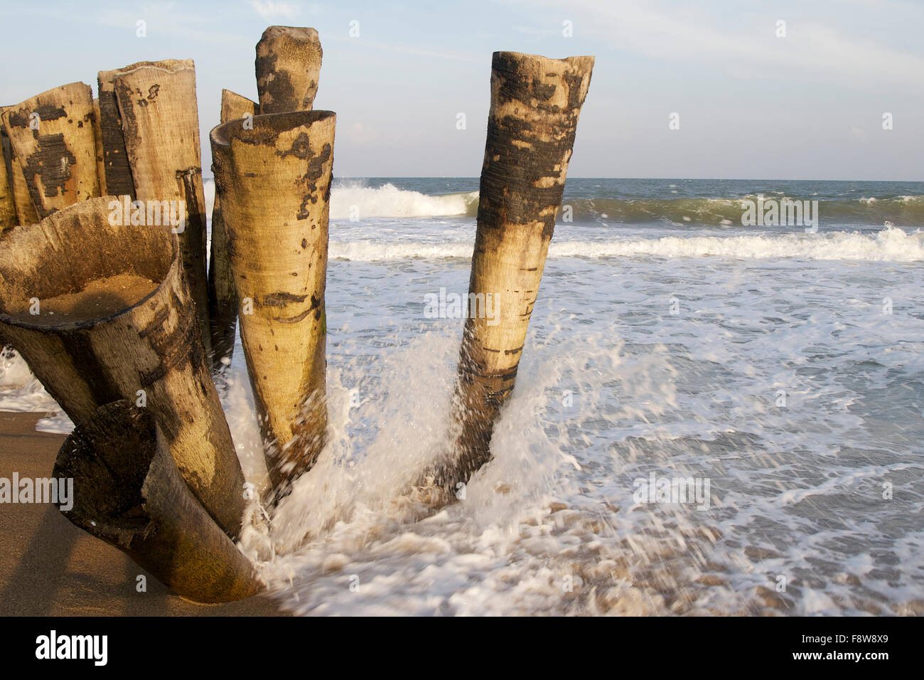 Tree sand beach waves hi-res stock photography and images - Alamy