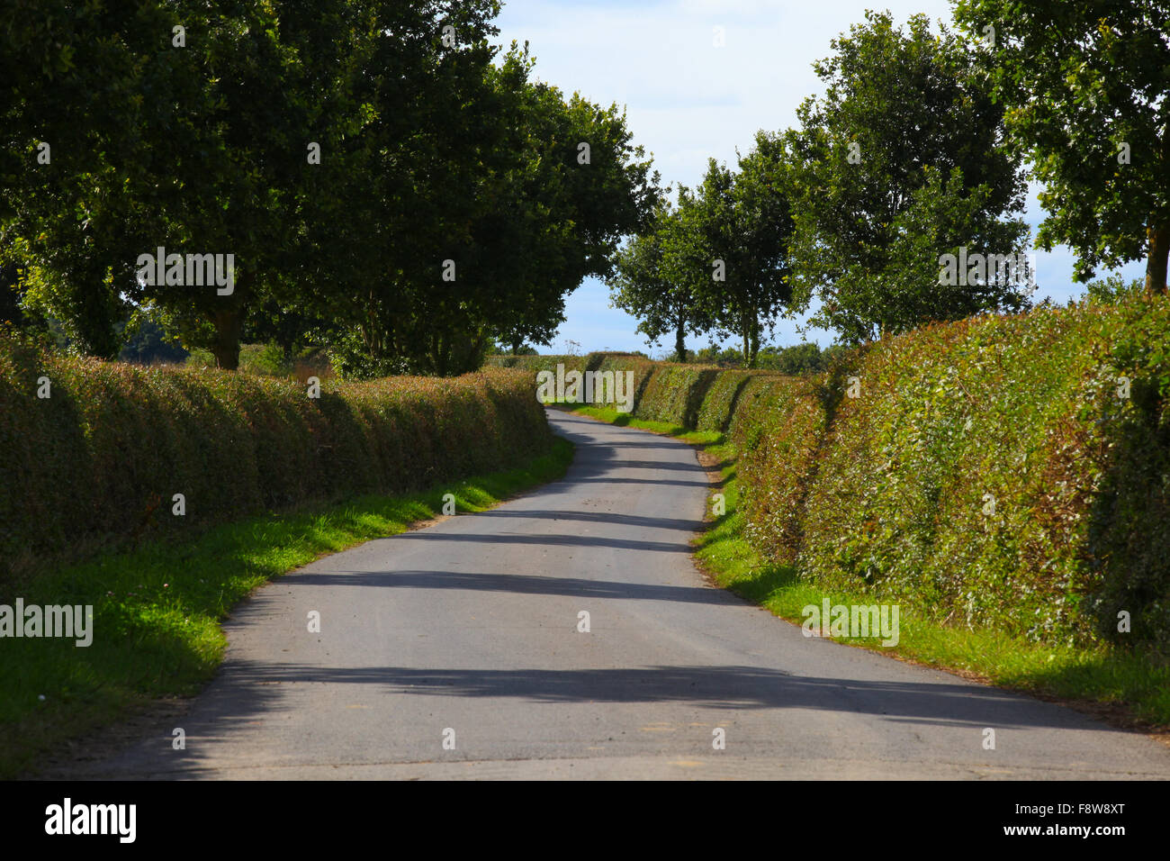 High hedge lines and trees sharp corners and edge drop off never ...