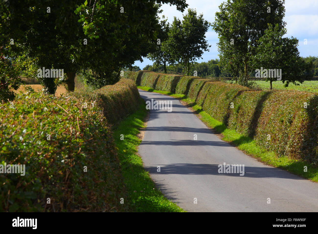 High hedge lines and trees sharp corners and edge drop off never ...