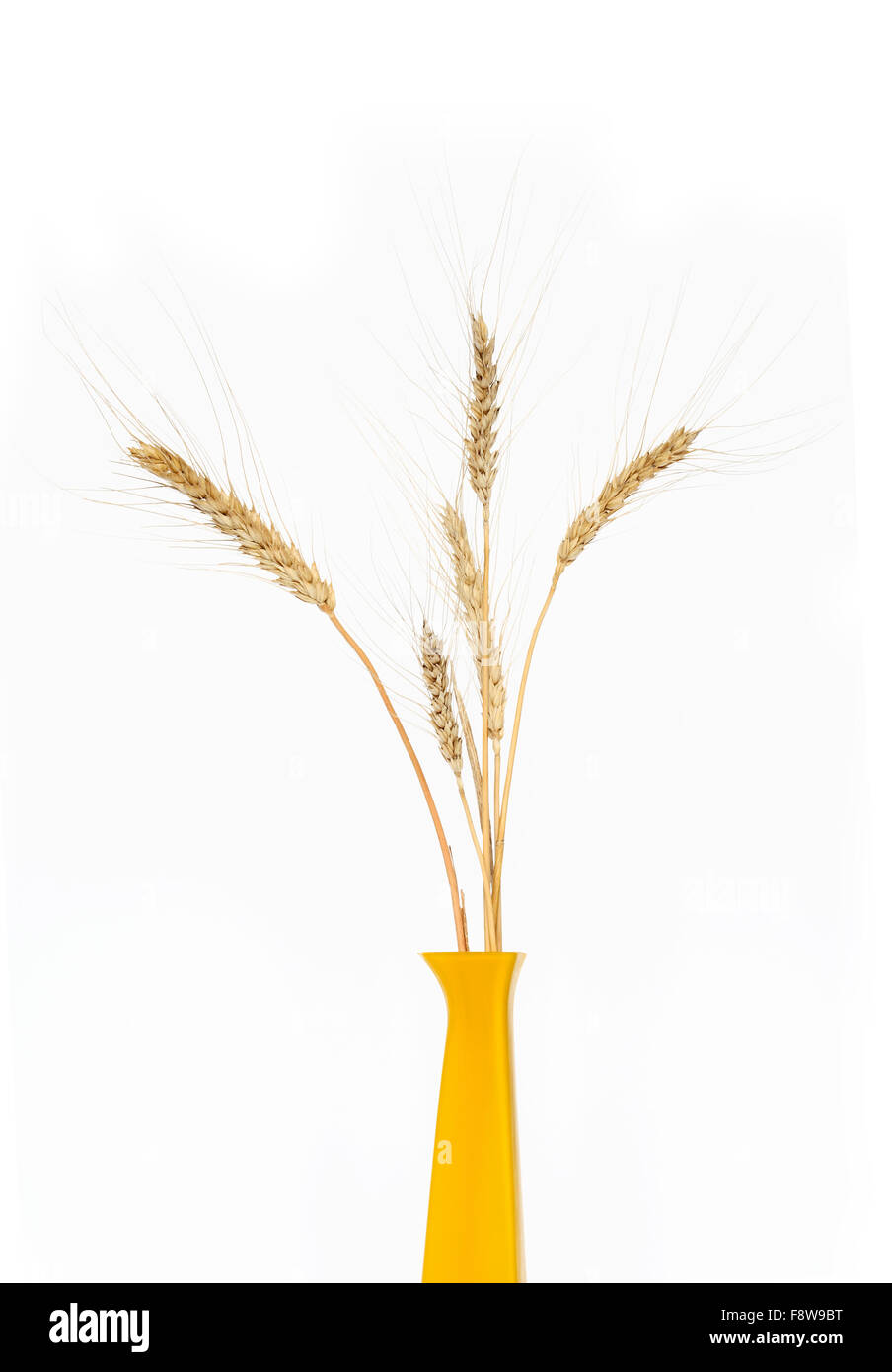 Wheat In Vase Stock Photo - Alamy