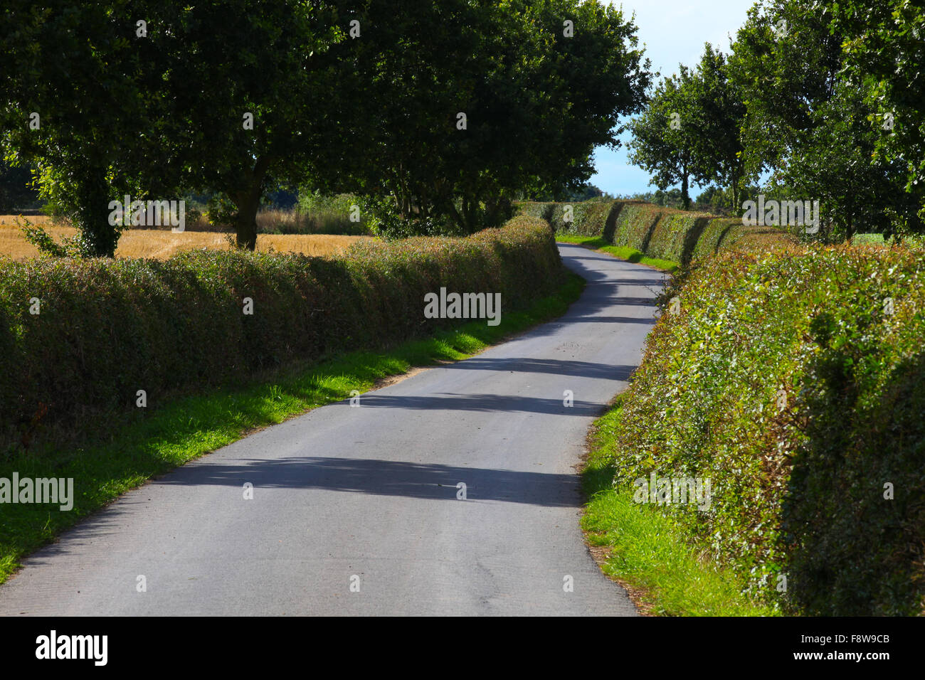 High hedge lines and trees sharp corners and edge drop off never ...