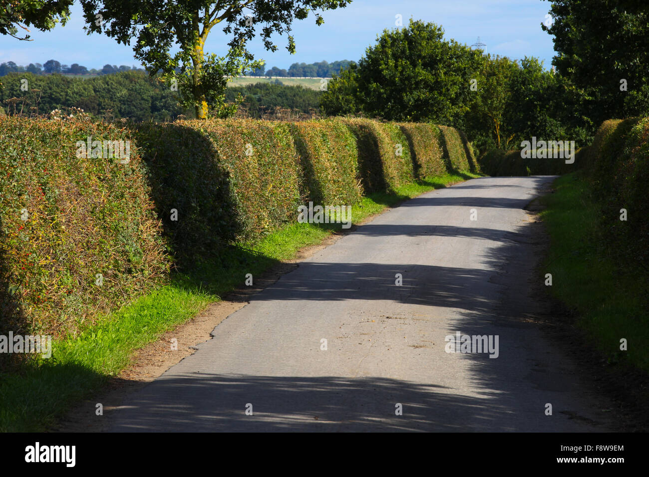 High hedge lines and trees sharp corners and edge drop off never ...