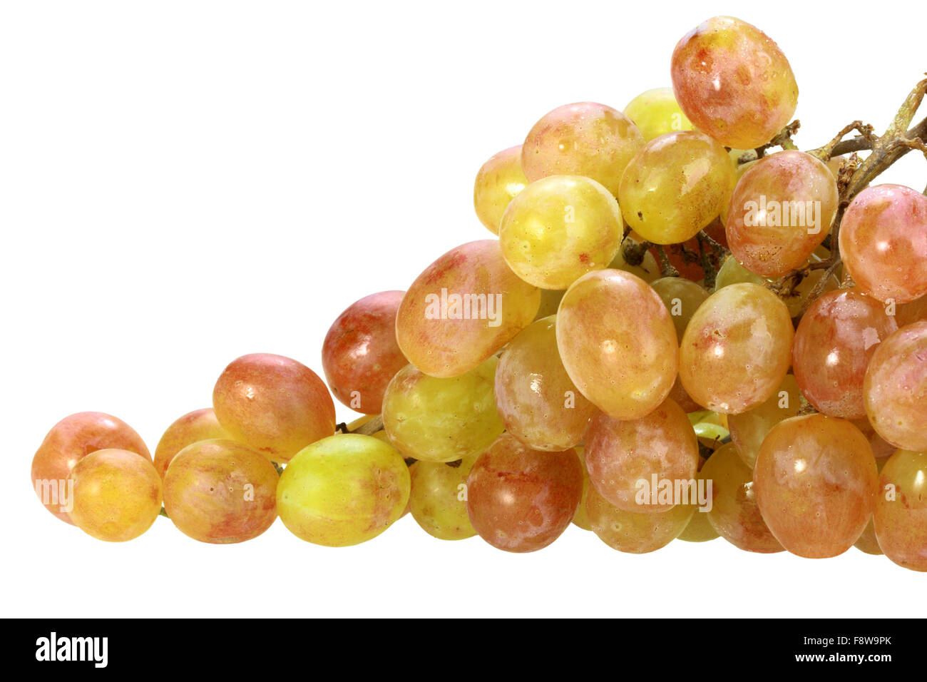 Single bunch of yellow grape Stock Photo - Alamy