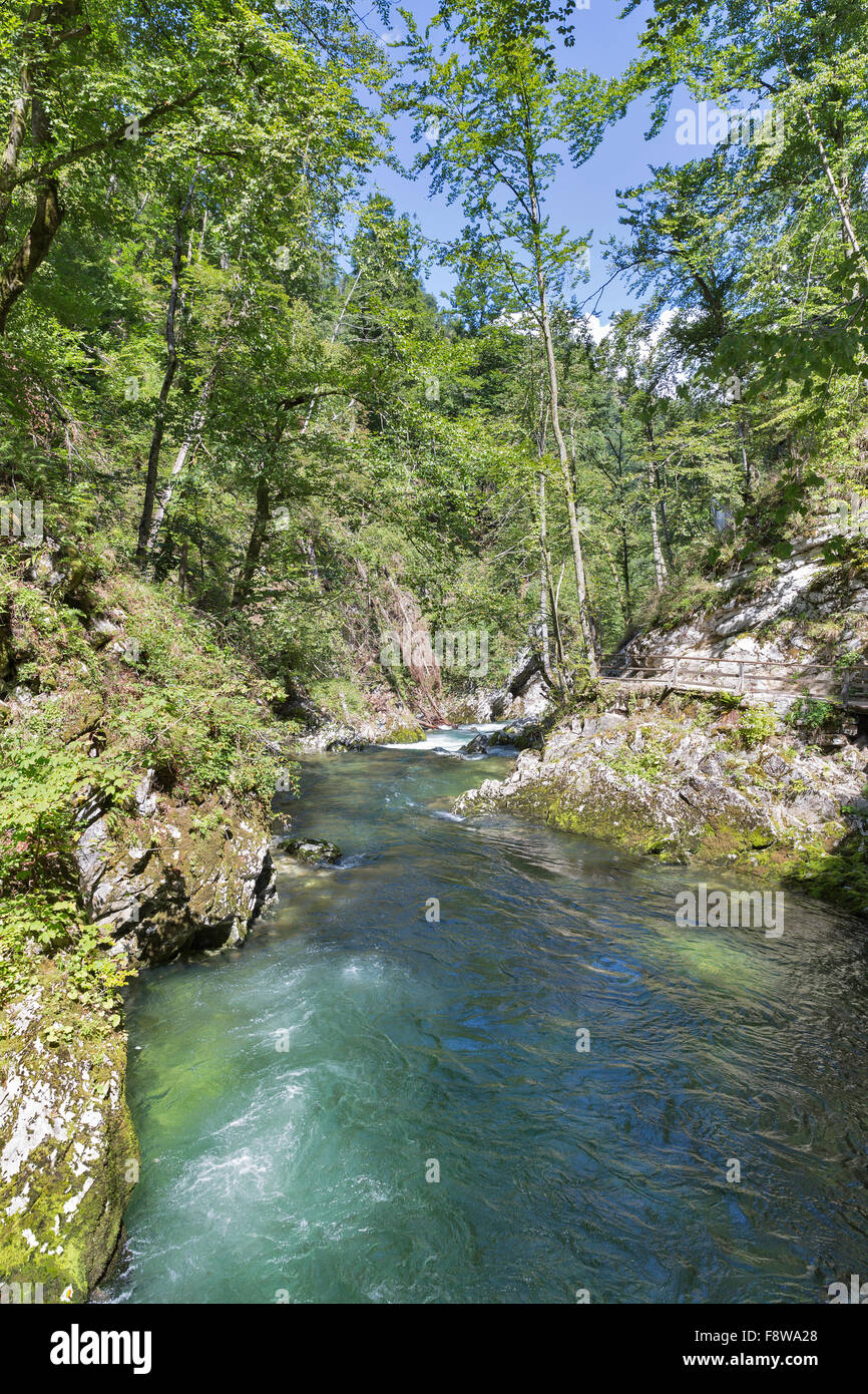 Vintgar gorge and wooden path with river Radovna flowing through it ...