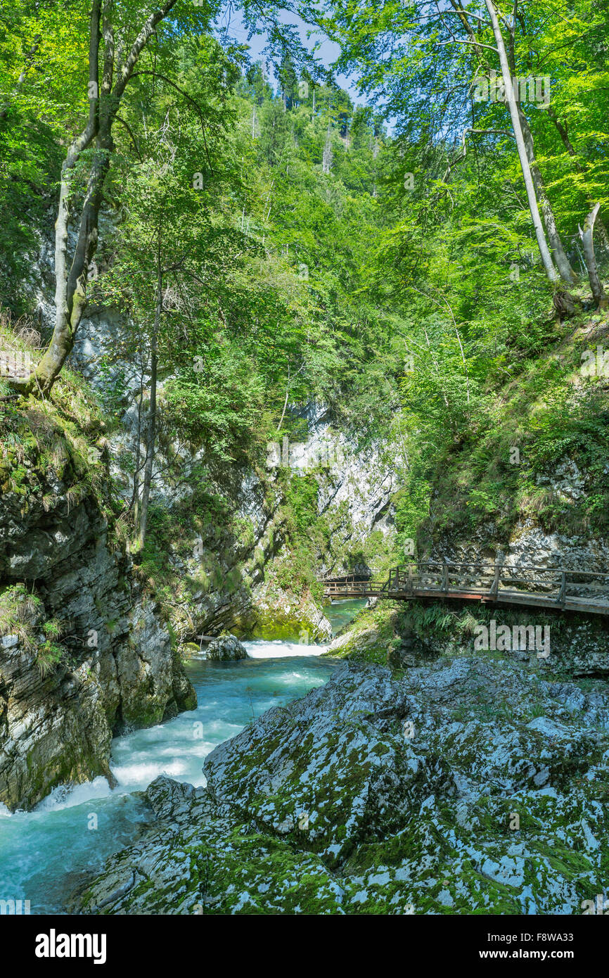 Vintgar gorge and wooden path with river Radovna flowing through it ...