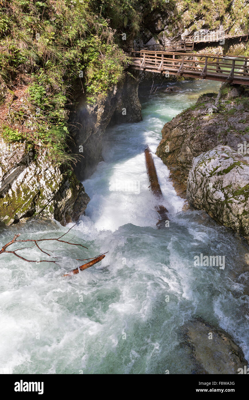 Vintgar gorge and wooden path with river Radovna flowing through it ...