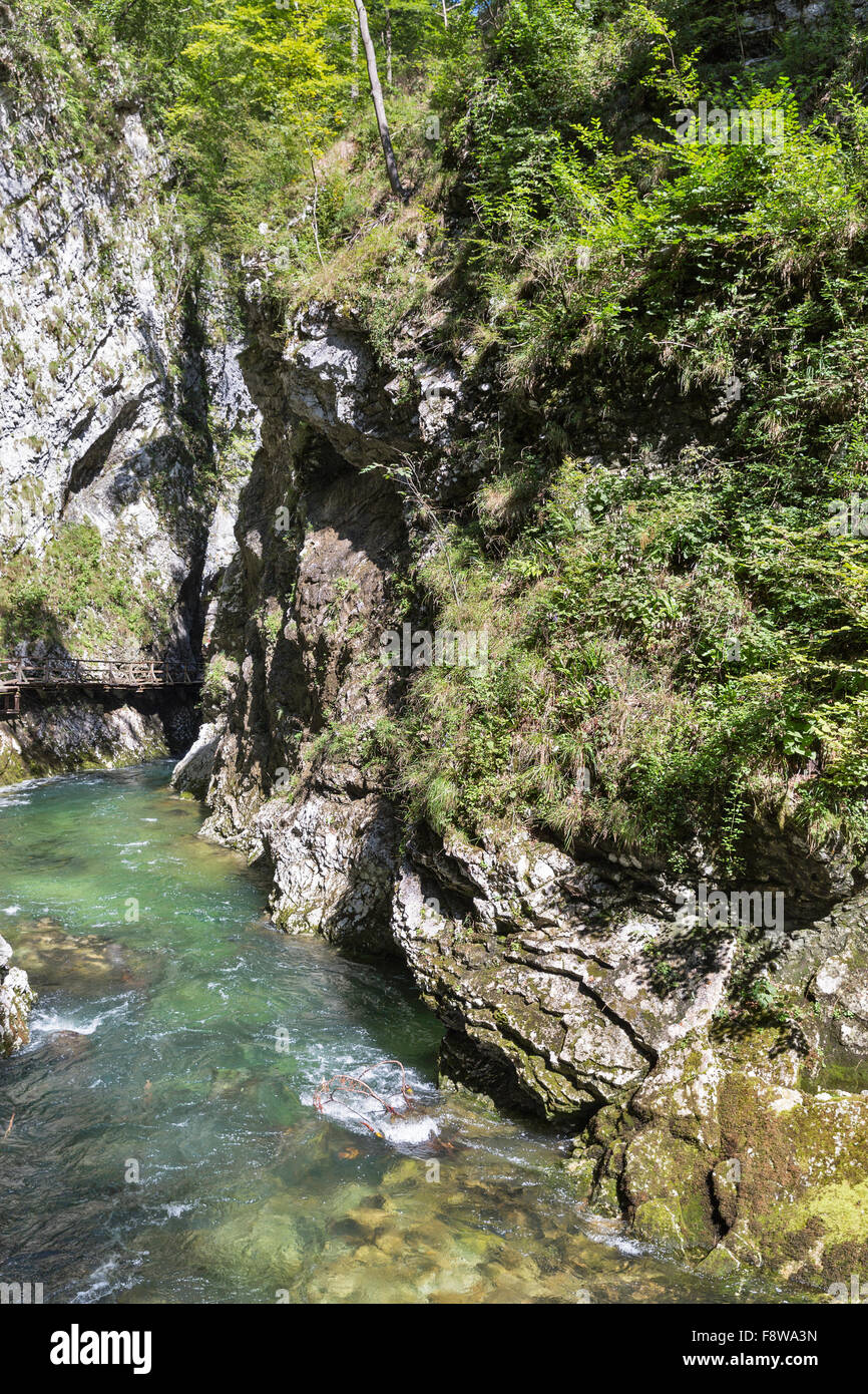Vintgar gorge and wooden path with river Radovna flowing through it ...