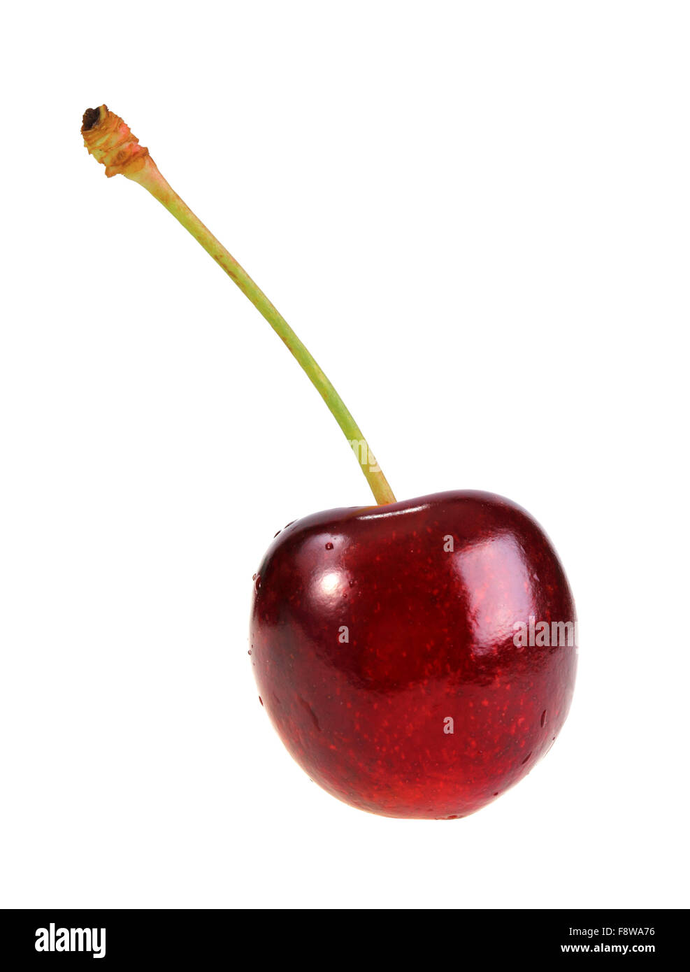 Single dark-red sweet-cherry Stock Photo - Alamy