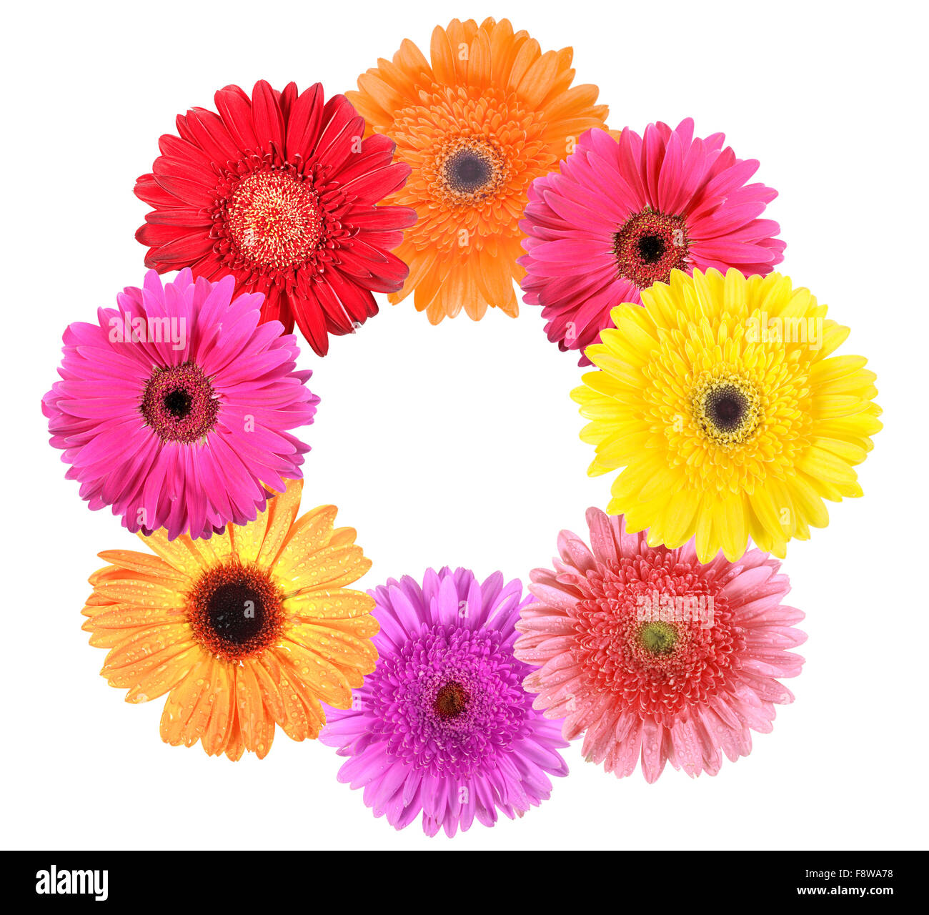Frame as ring of flowers Stock Photo - Alamy