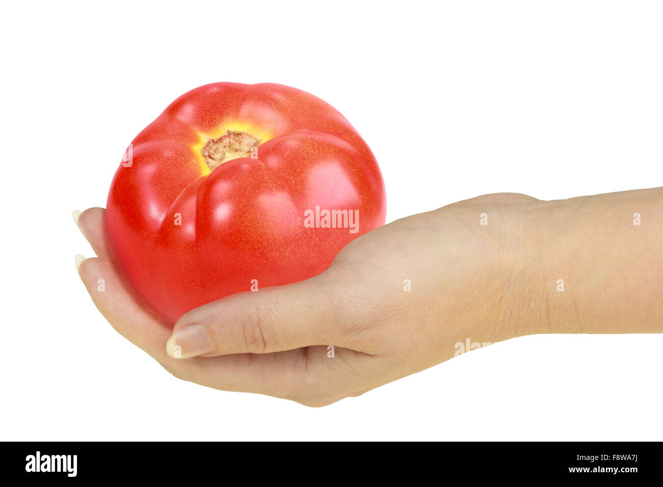 Tomato in a hand Stock Photo - Alamy