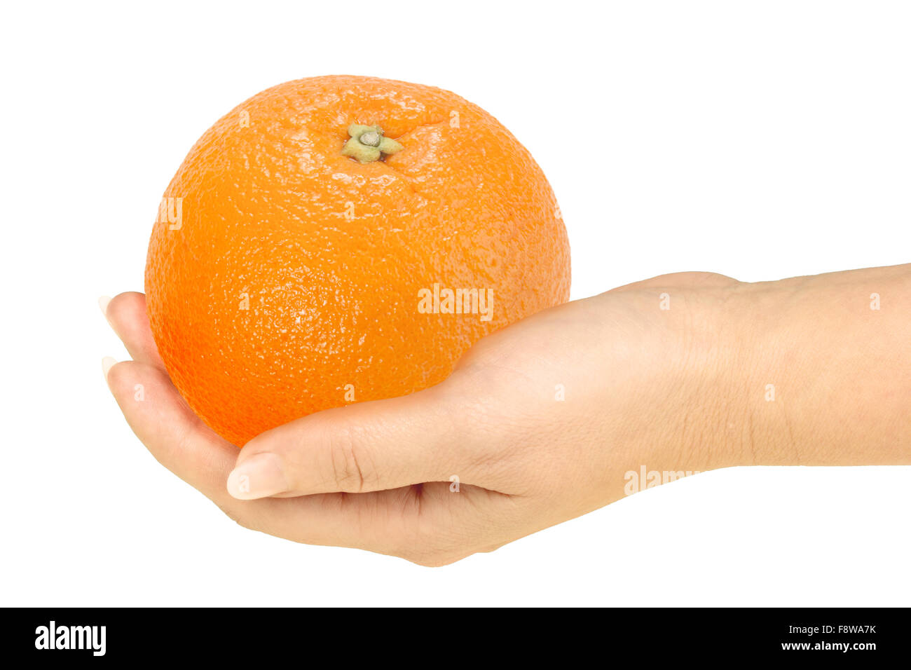 Body part hand white hi-res stock photography and images - Alamy