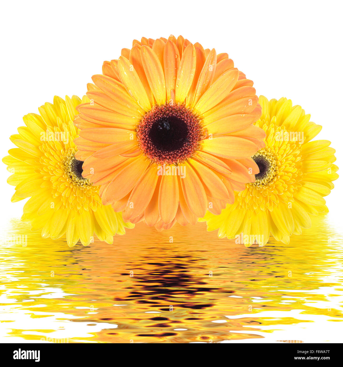 Still-life of a three flower Stock Photo - Alamy