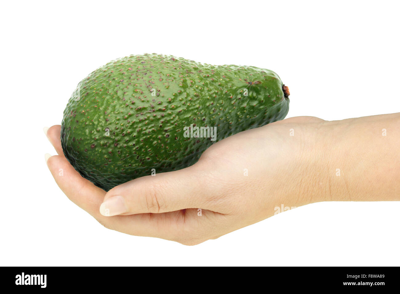 Single avocado in a hand of woman Stock Photo - Alamy