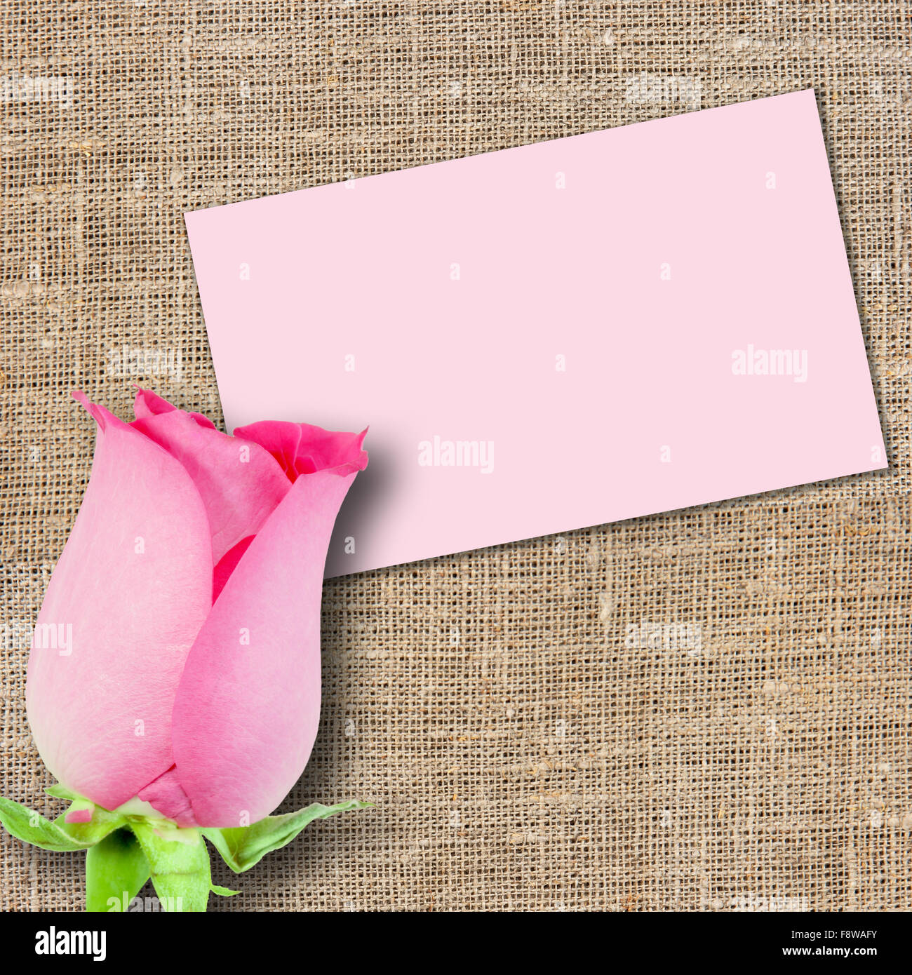 One pink rose and message-card Stock Photo - Alamy