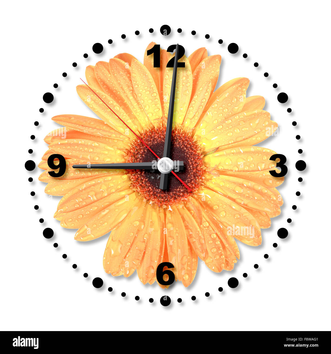 Single orange flower as a office clock Stock Photo - Alamy