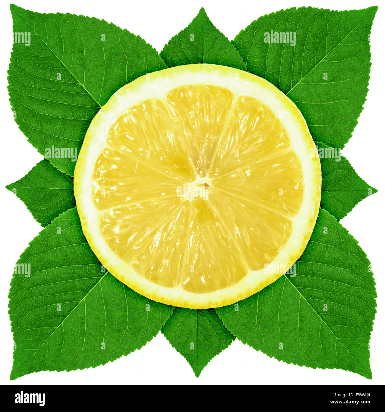 Single cross section of lemon with green leaf Stock Photo - Alamy