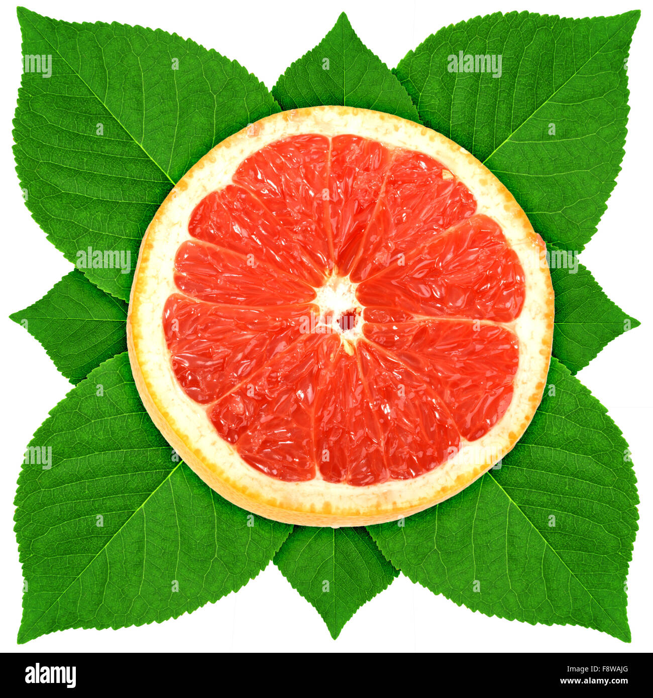 Single cross section of grape-fruit with green leaf Stock Photo - Alamy