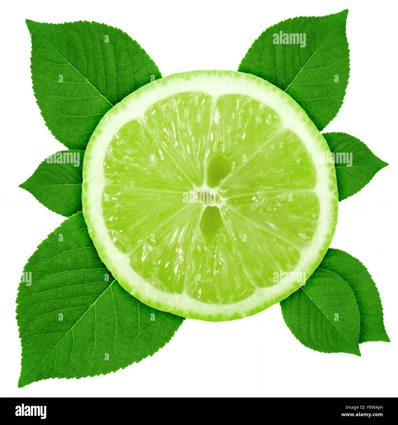 Cross section lime hi-res stock photography and images - Alamy
