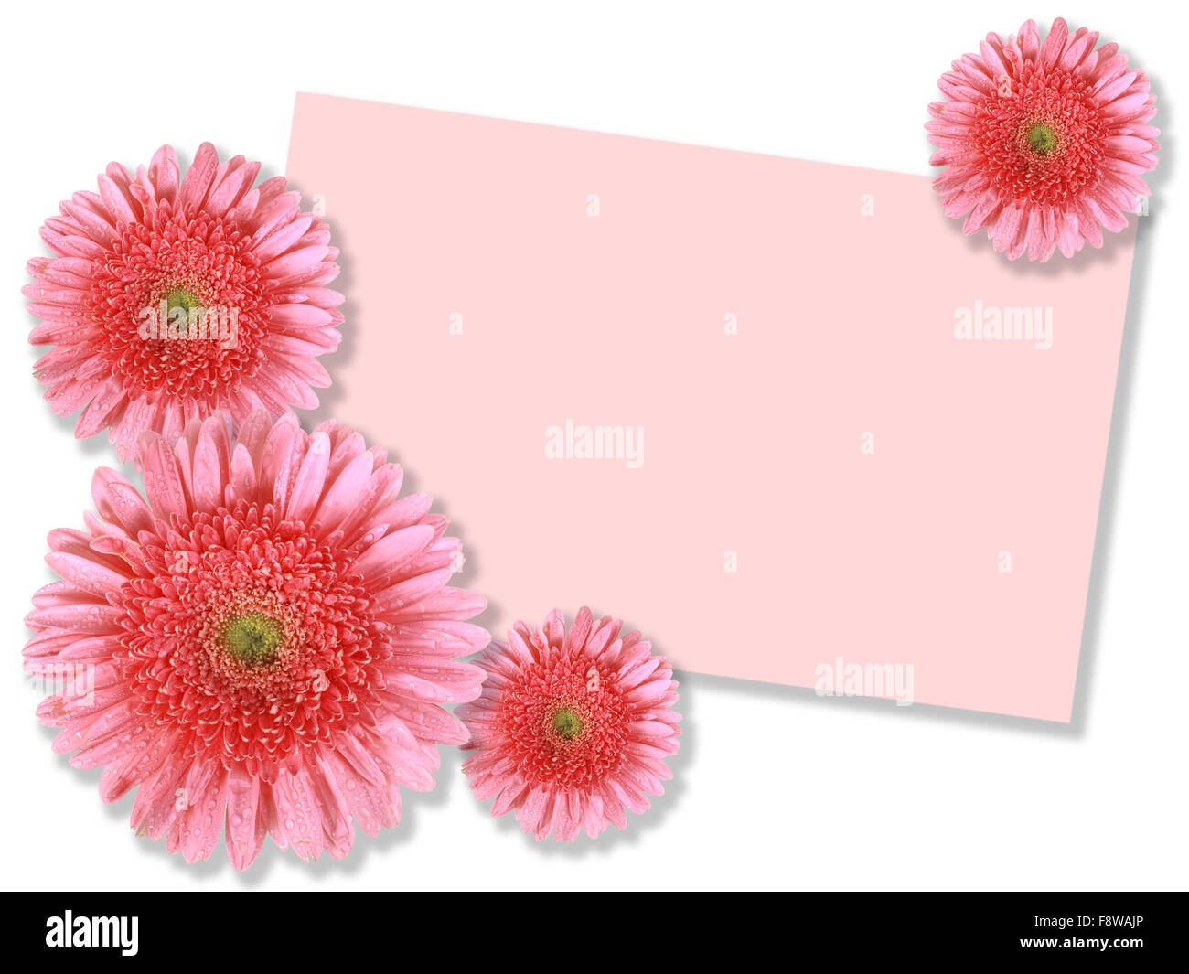 Pink flowers spring card Cut Out Stock Images & Pictures - Alamy