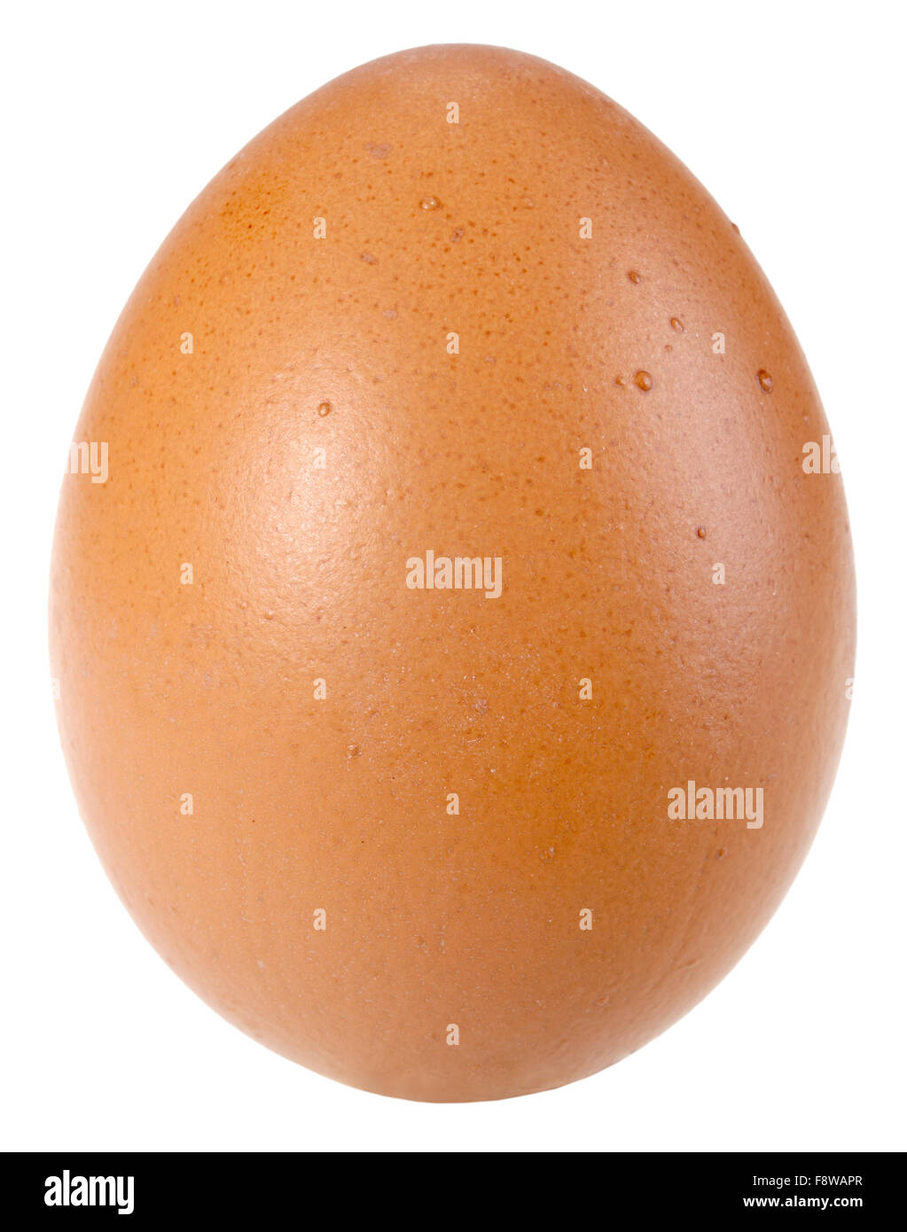 One brown egg vertical hi-res stock photography and images - Alamy
