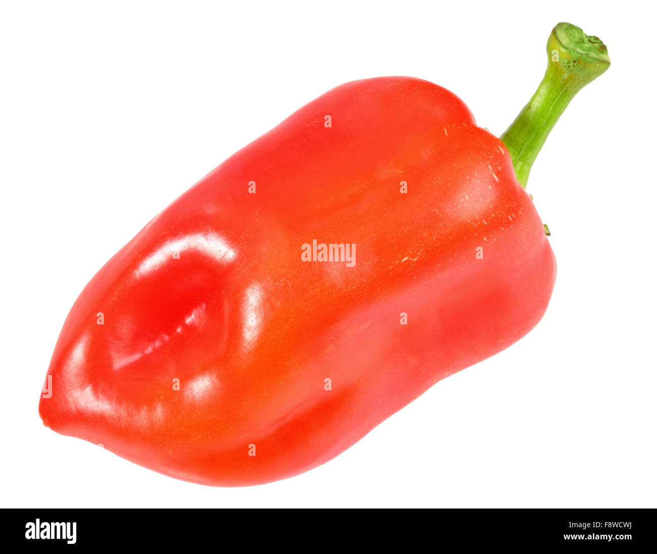 Ripe white pepper hi-res stock photography and images - Alamy