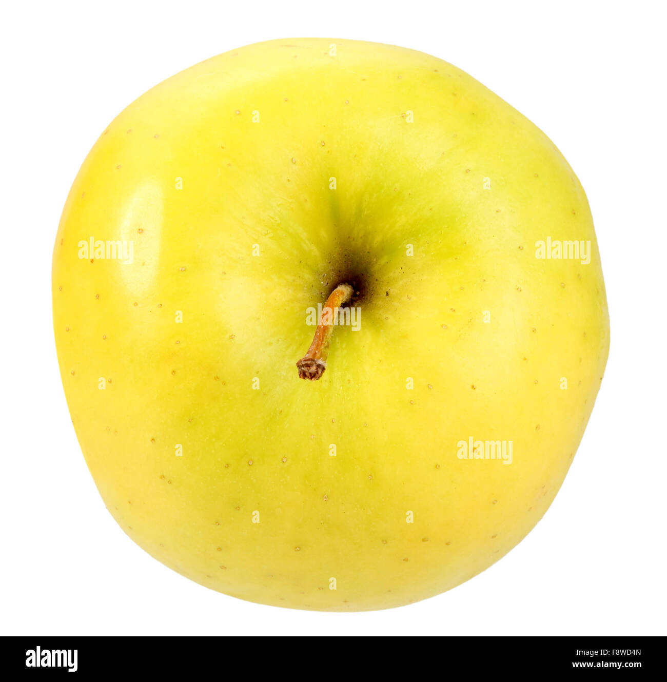 Single a yellow apple Stock Photo - Alamy