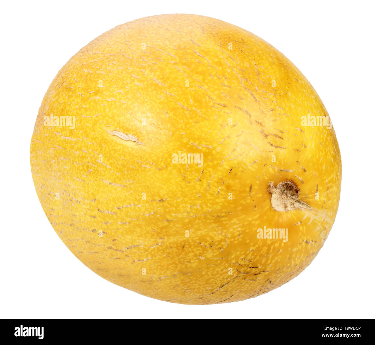 Single ripe yellow melon Stock Photo - Alamy