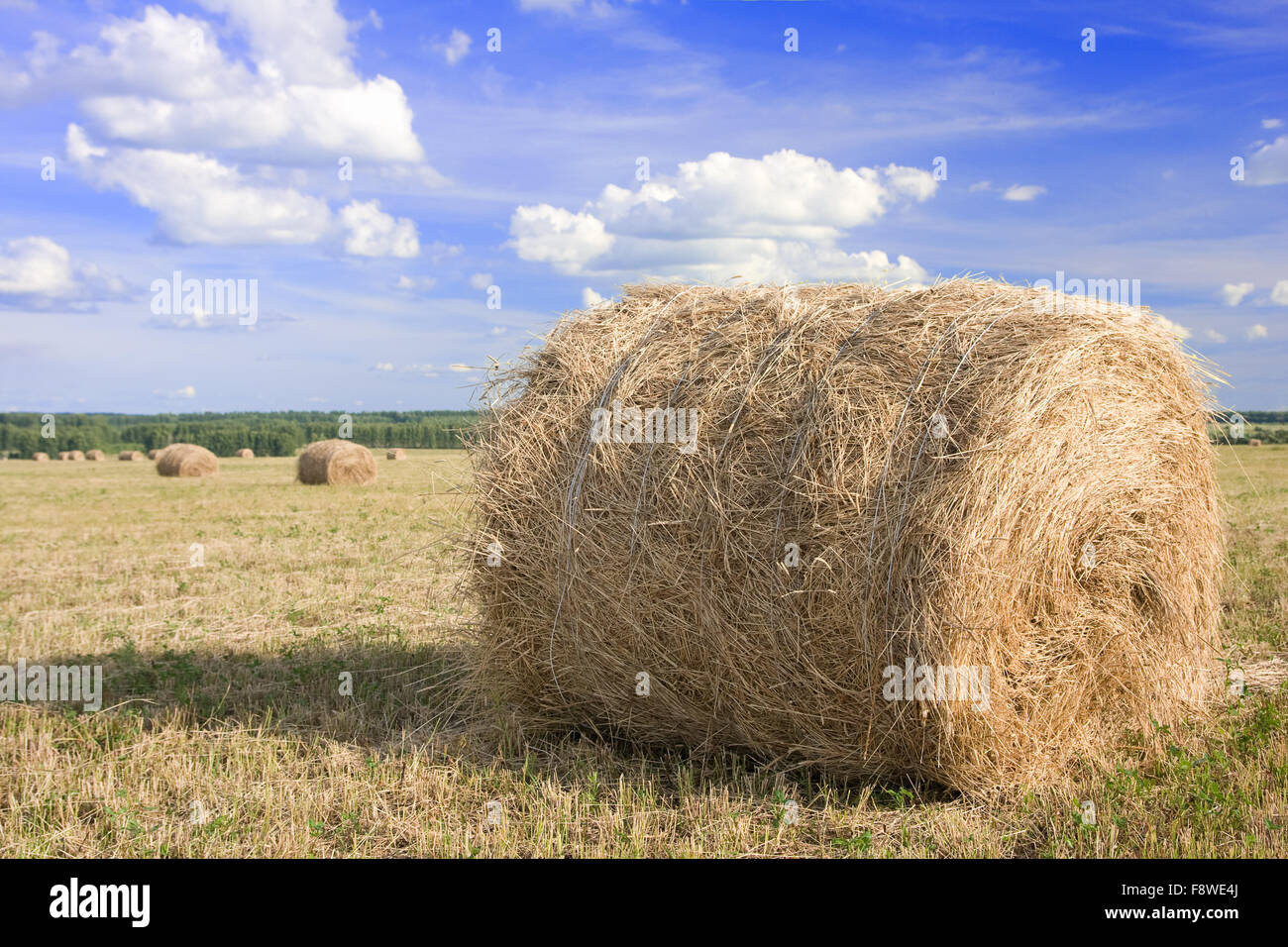 haystack on the meadow Stock Photo - Alamy