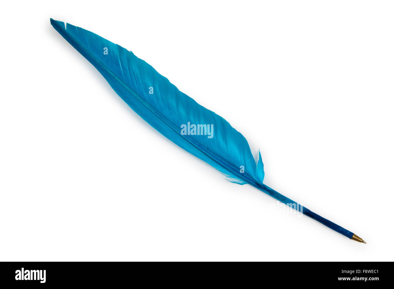 Writing feather isolated on the white background Stock Photo - Alamy