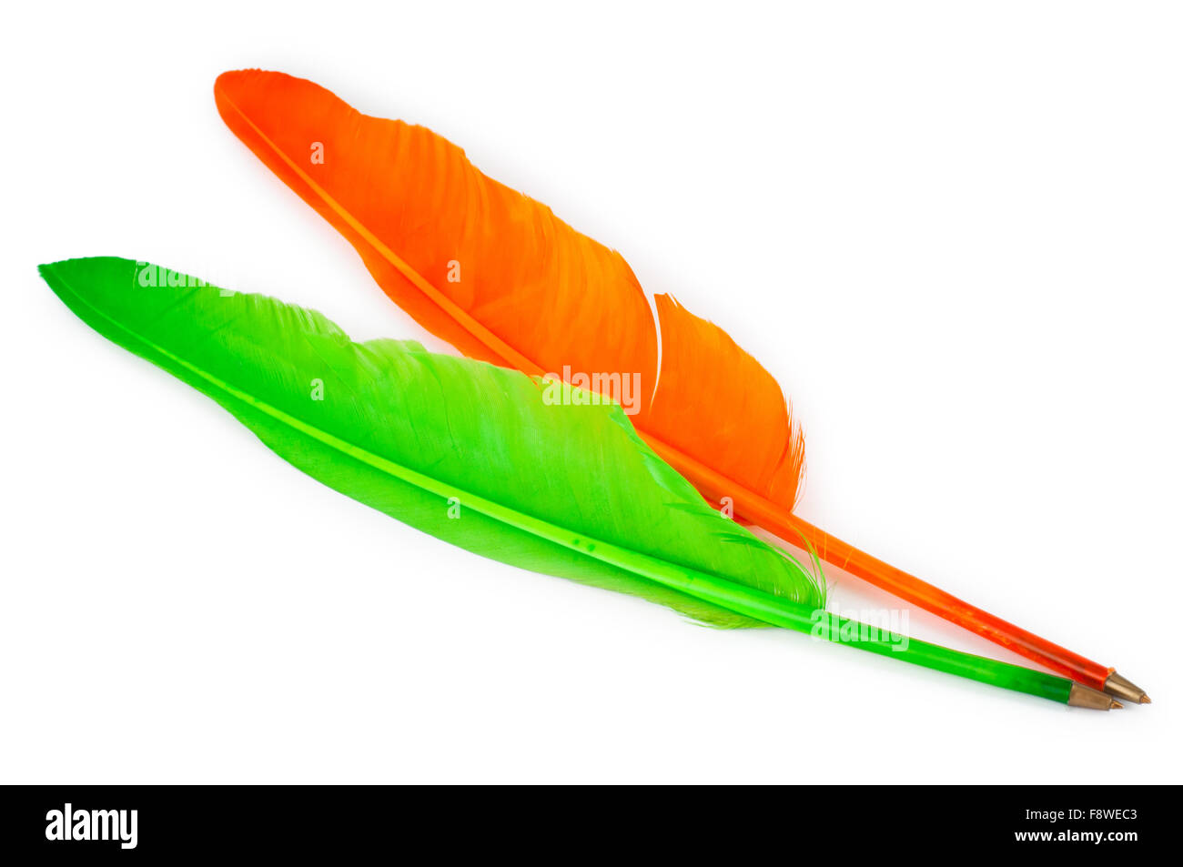 Writing feather isolated on the white background Stock Photo - Alamy