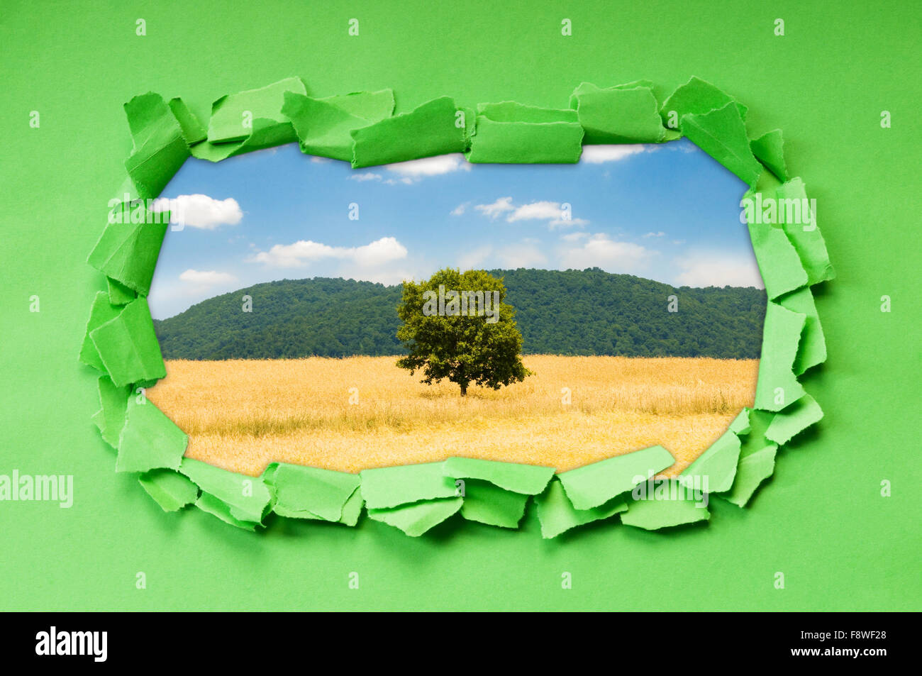 Torn paper with trees through the hole Stock Photo - Alamy