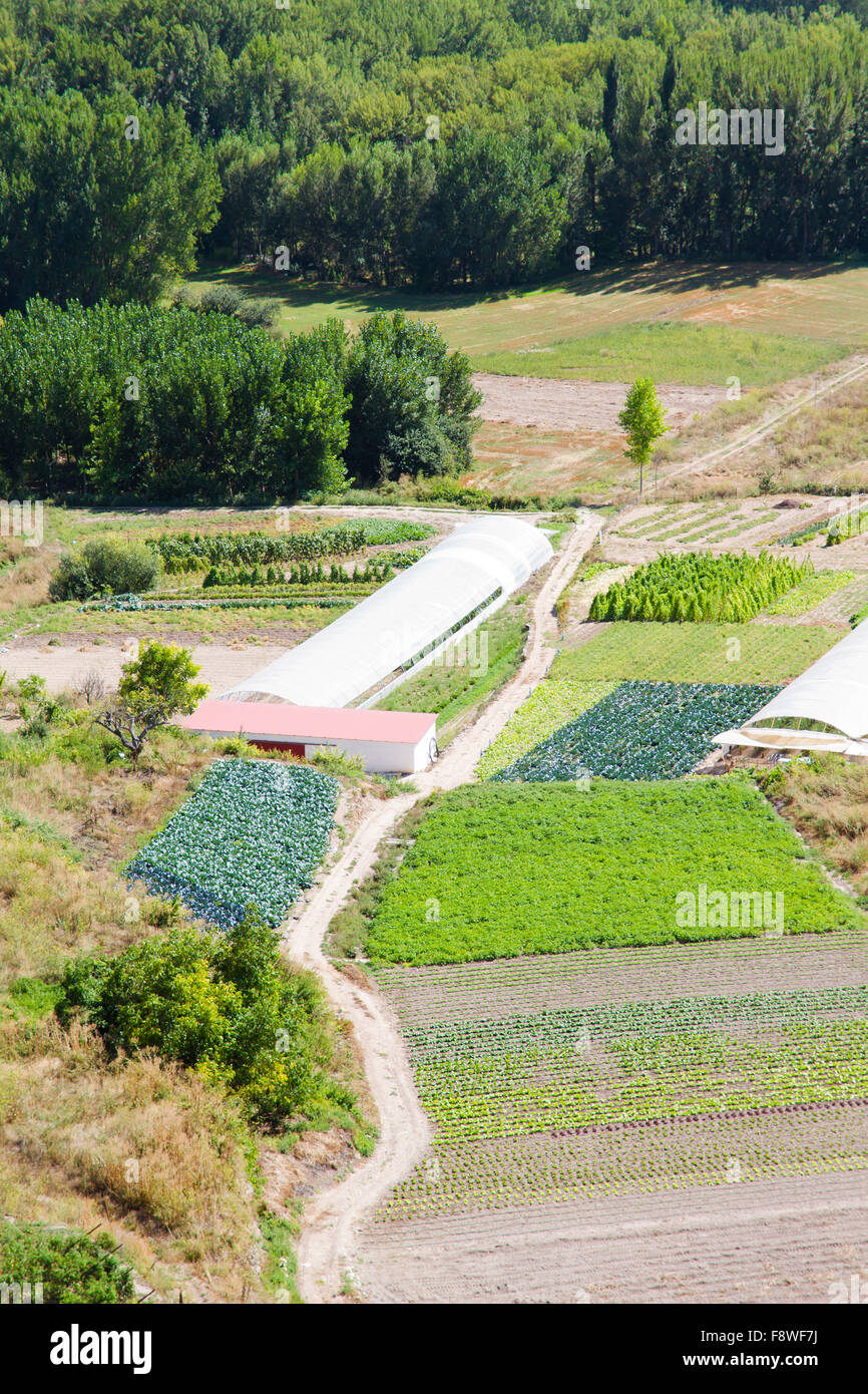 Cultivated land in a rural landscape Stock Photo - Alamy