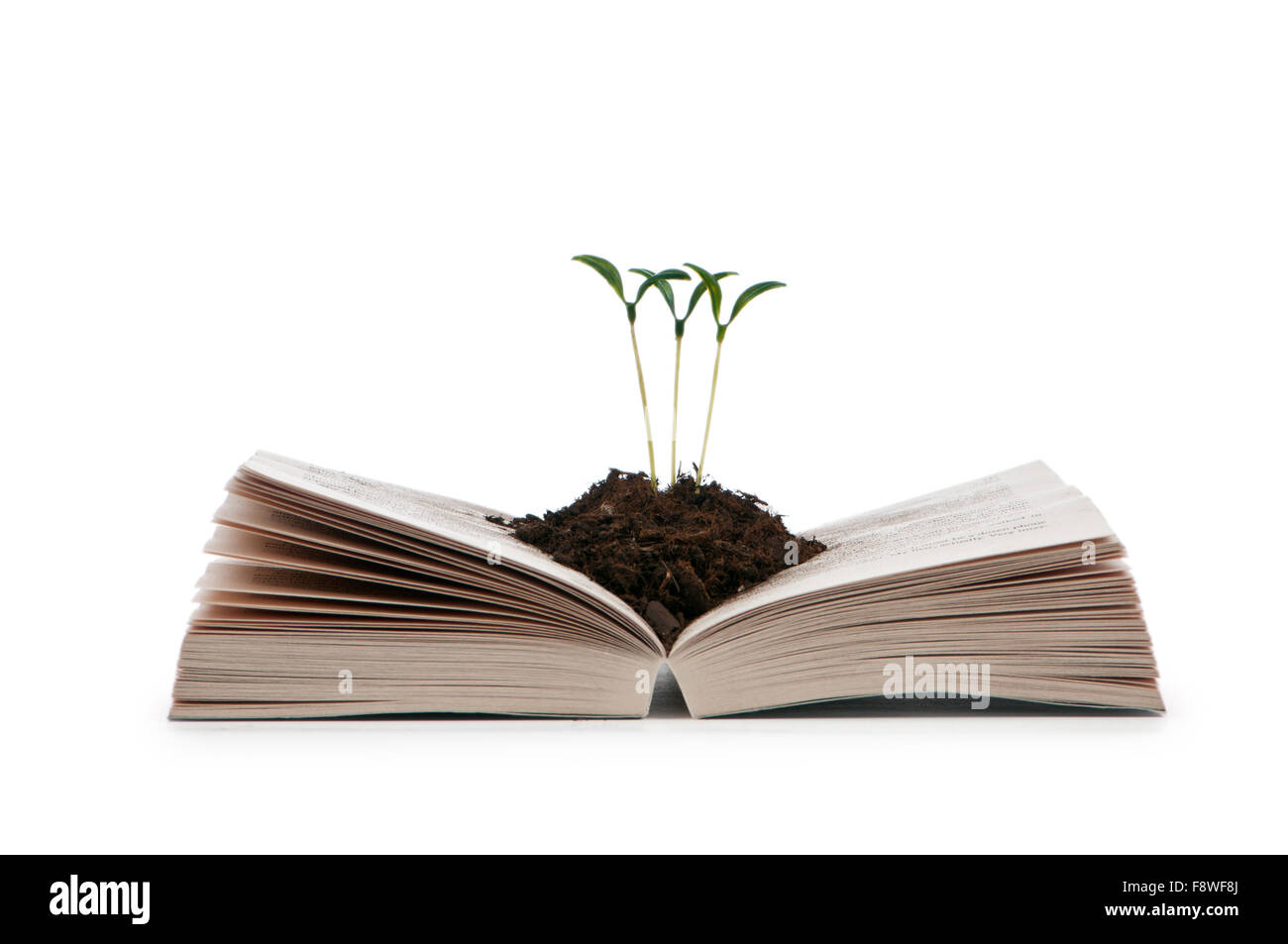 Cover seedlings Cut Out Stock Images & Pictures - Alamy