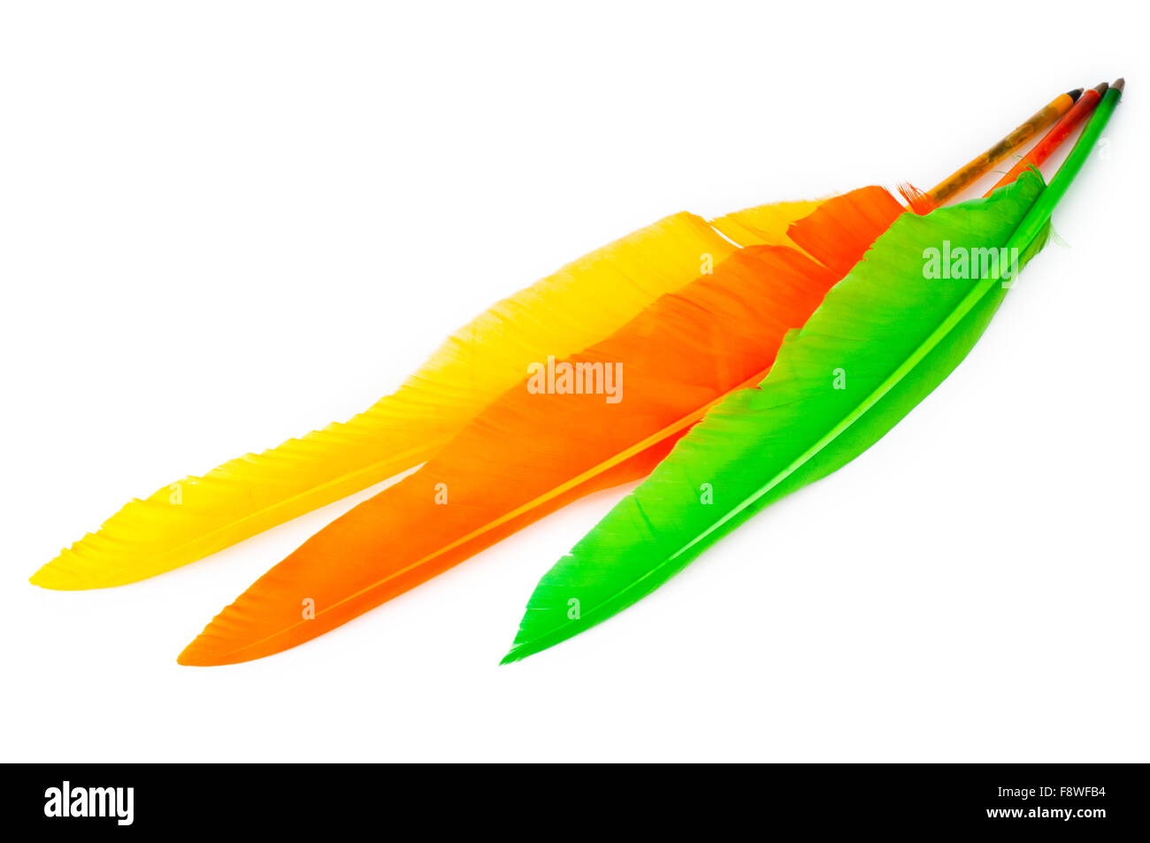 Writing feather isolated on the white background Stock Photo - Alamy