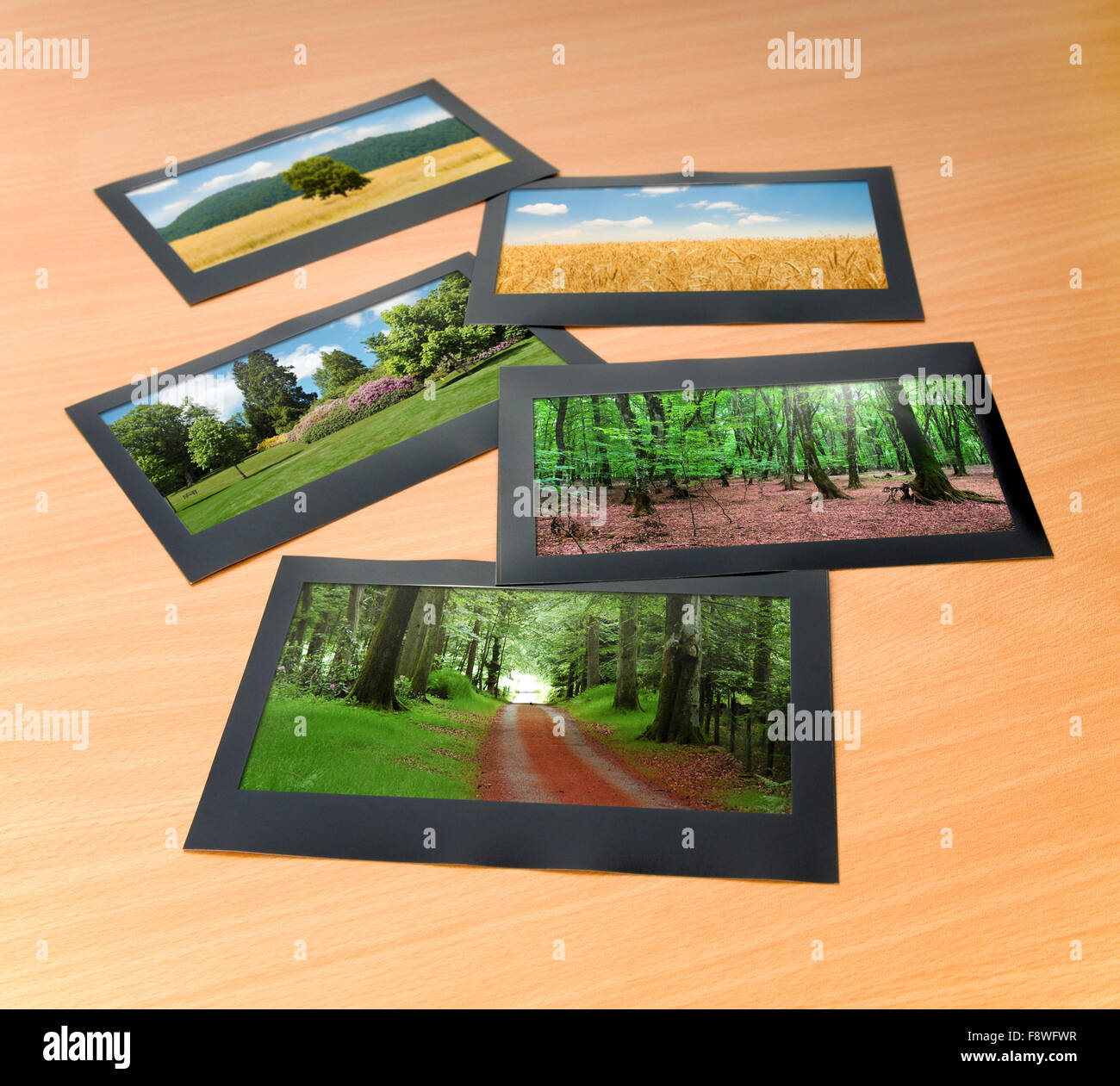 Forest on the picture frames Stock Photo - Alamy