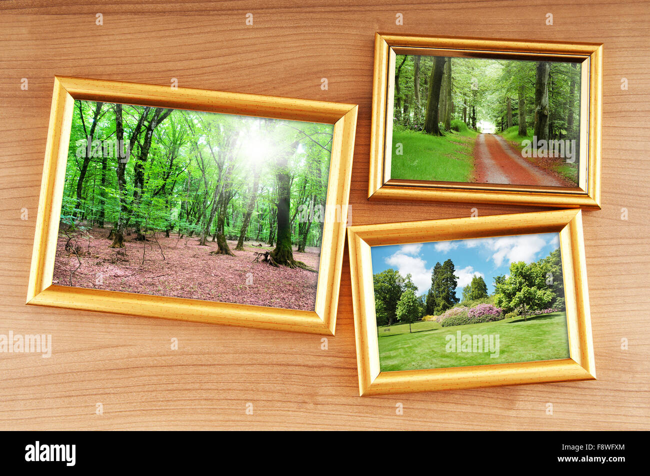 Forest on the picture frames Stock Photo - Alamy